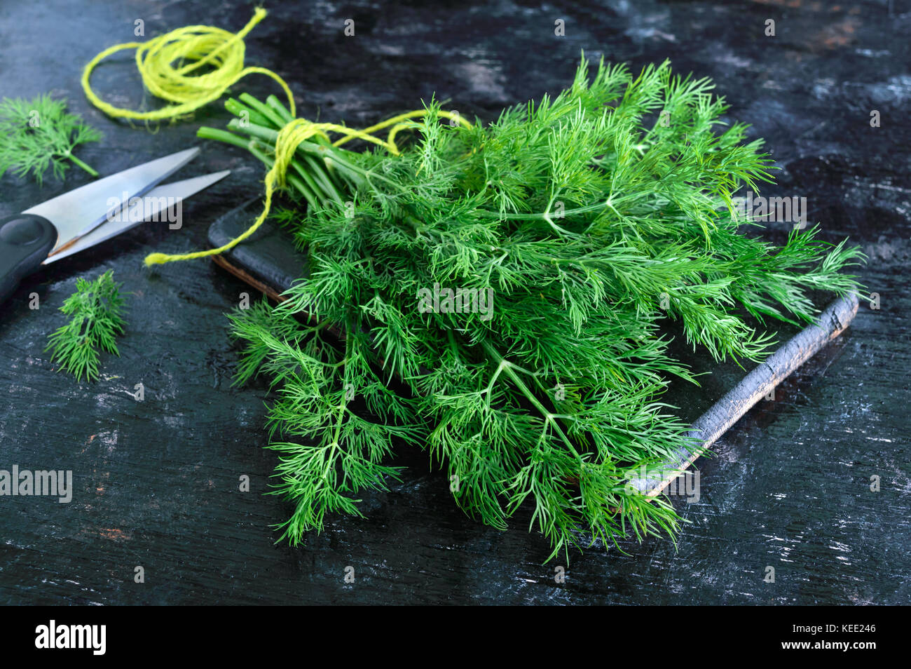 A bunch of fresh organic dill on a black vintage rustic background ...