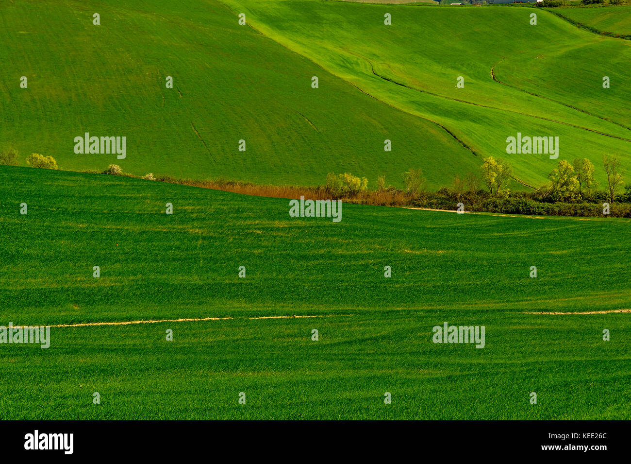 Italy Tuscany Orciano Pisano Province of Pisa Stock Photo - Alamy