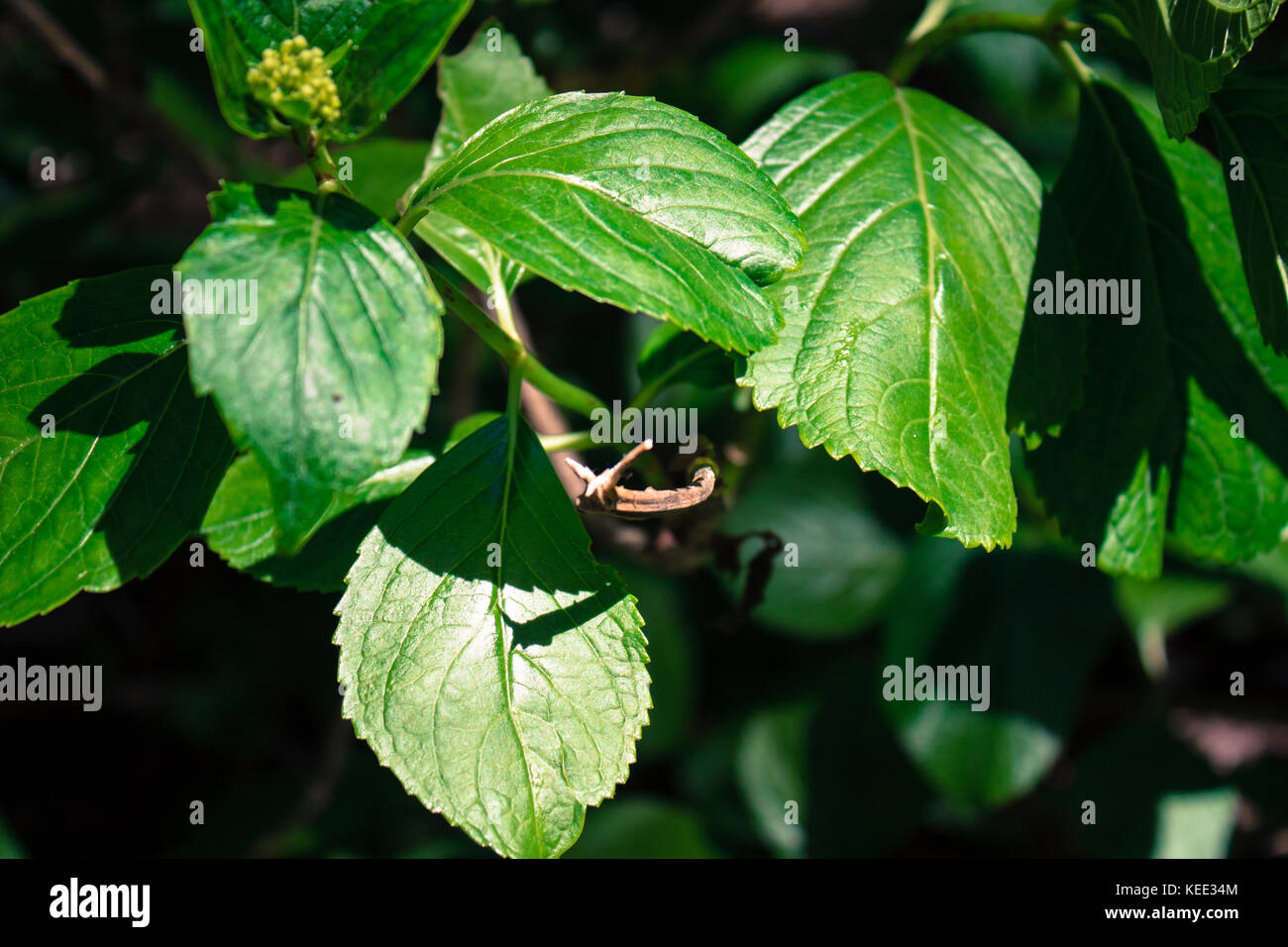 Welcoming life hi-res stock photography and images - Alamy