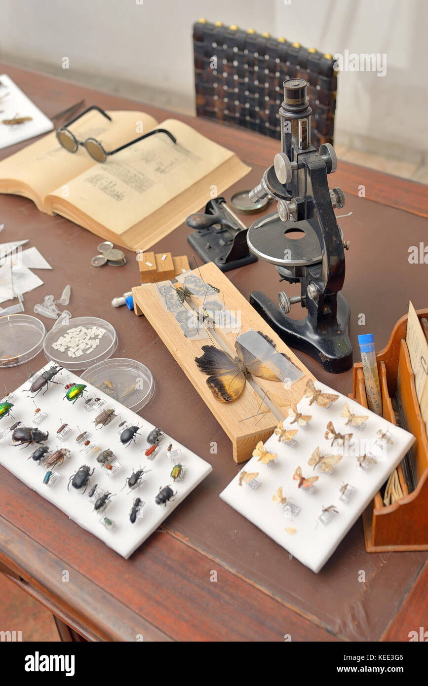Insect Collection Tools at Lawrence Melson blog