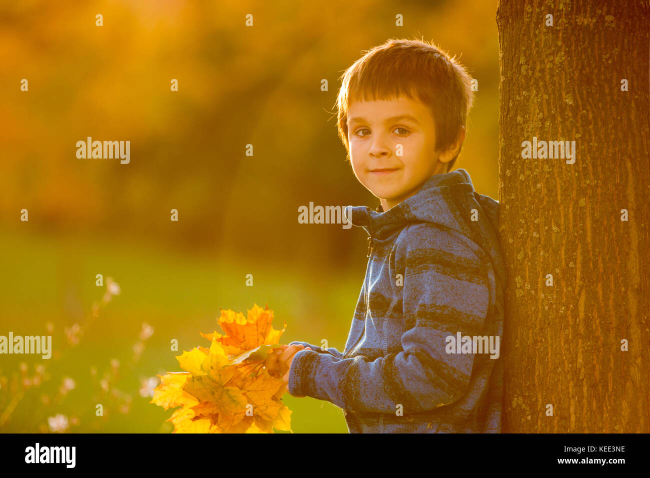 Autumn portrait of a cute preschool child, boy, sitting on a bench in ...