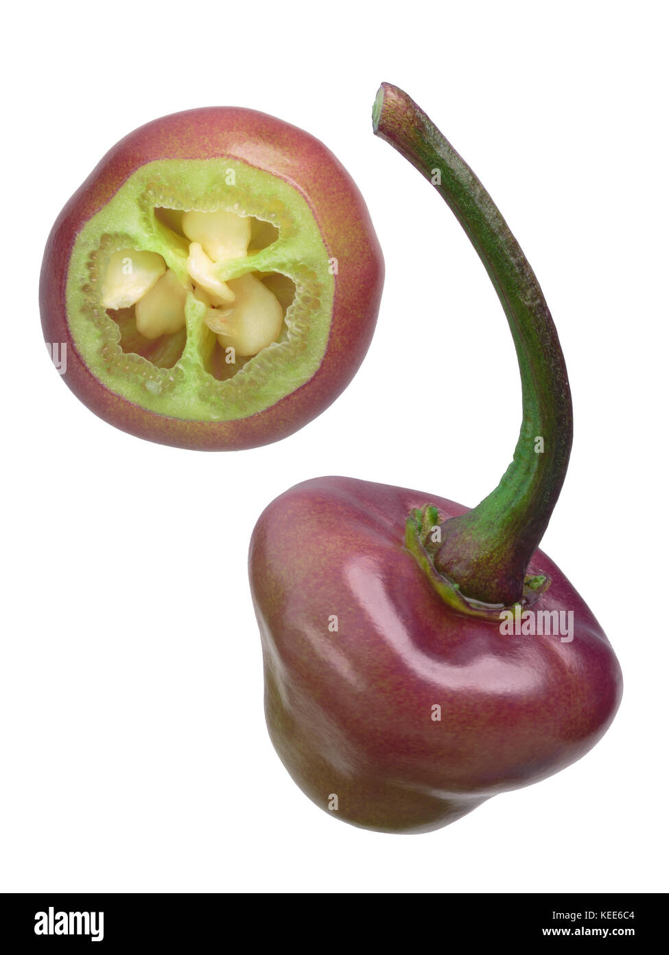 Cheiro Roxa chile pepper (Capsicum chinense), whole and halved pod ...