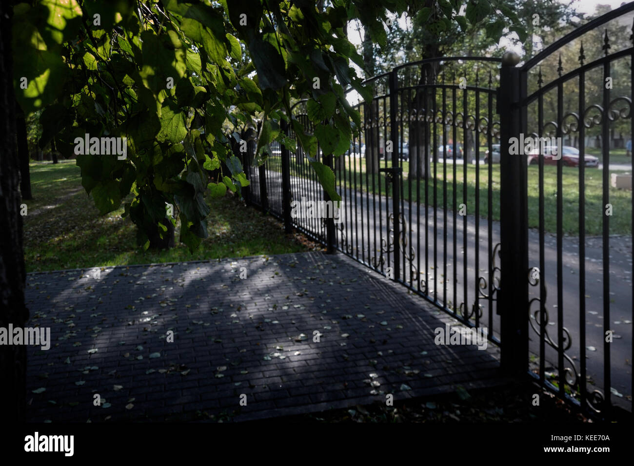 shady alley of city Park Stock Photo - Alamy