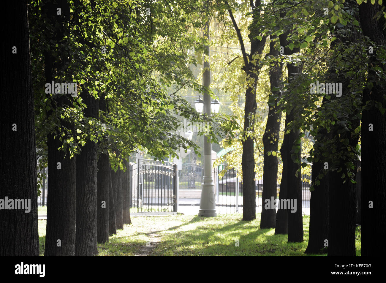 shady alley of city Park Stock Photo - Alamy