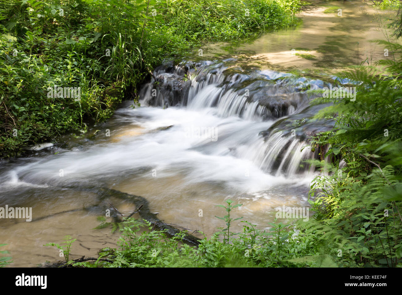 Mountain stream with stones with clear water Stock Photo - Alamy
