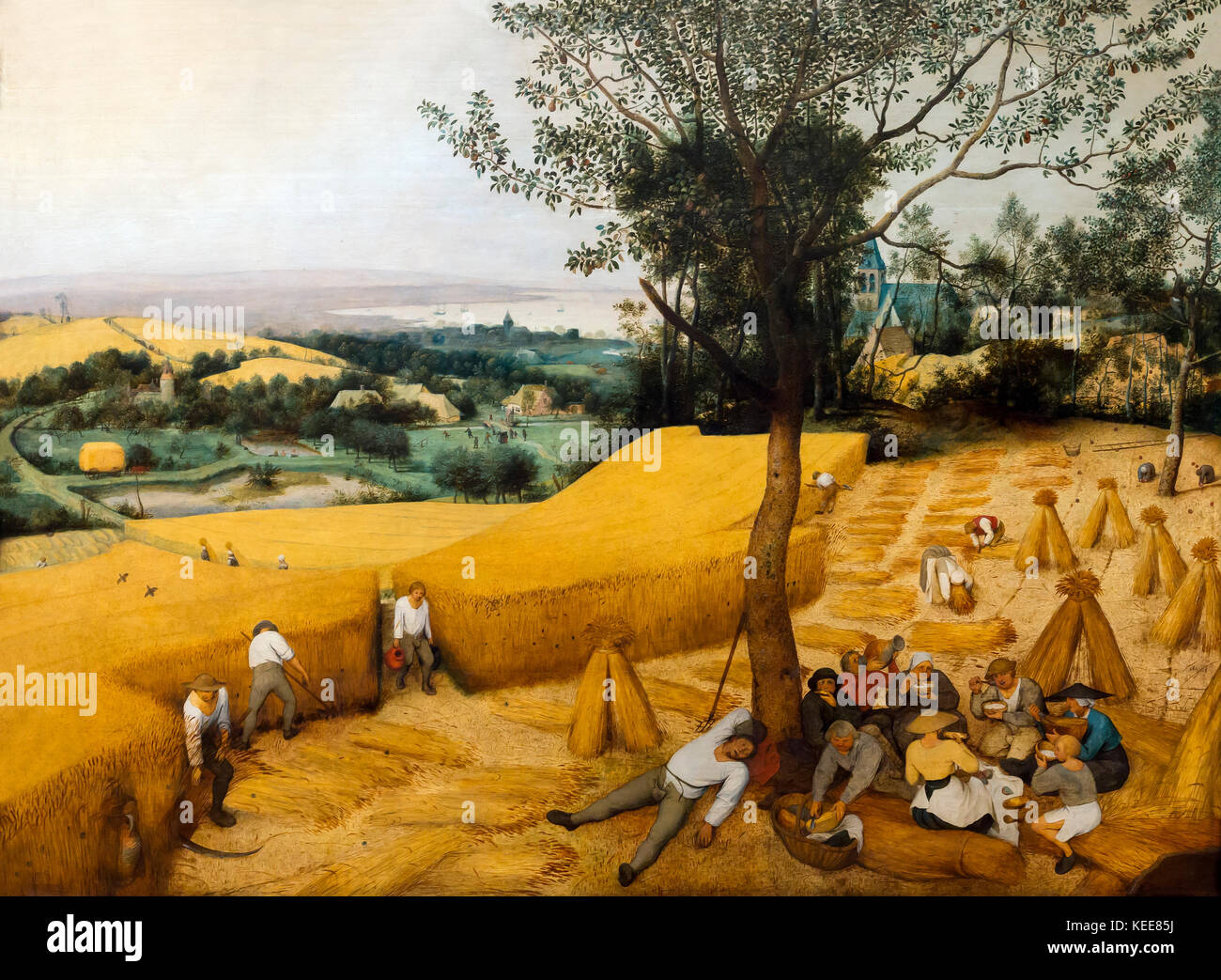 Pieter Bruegel Harvesters