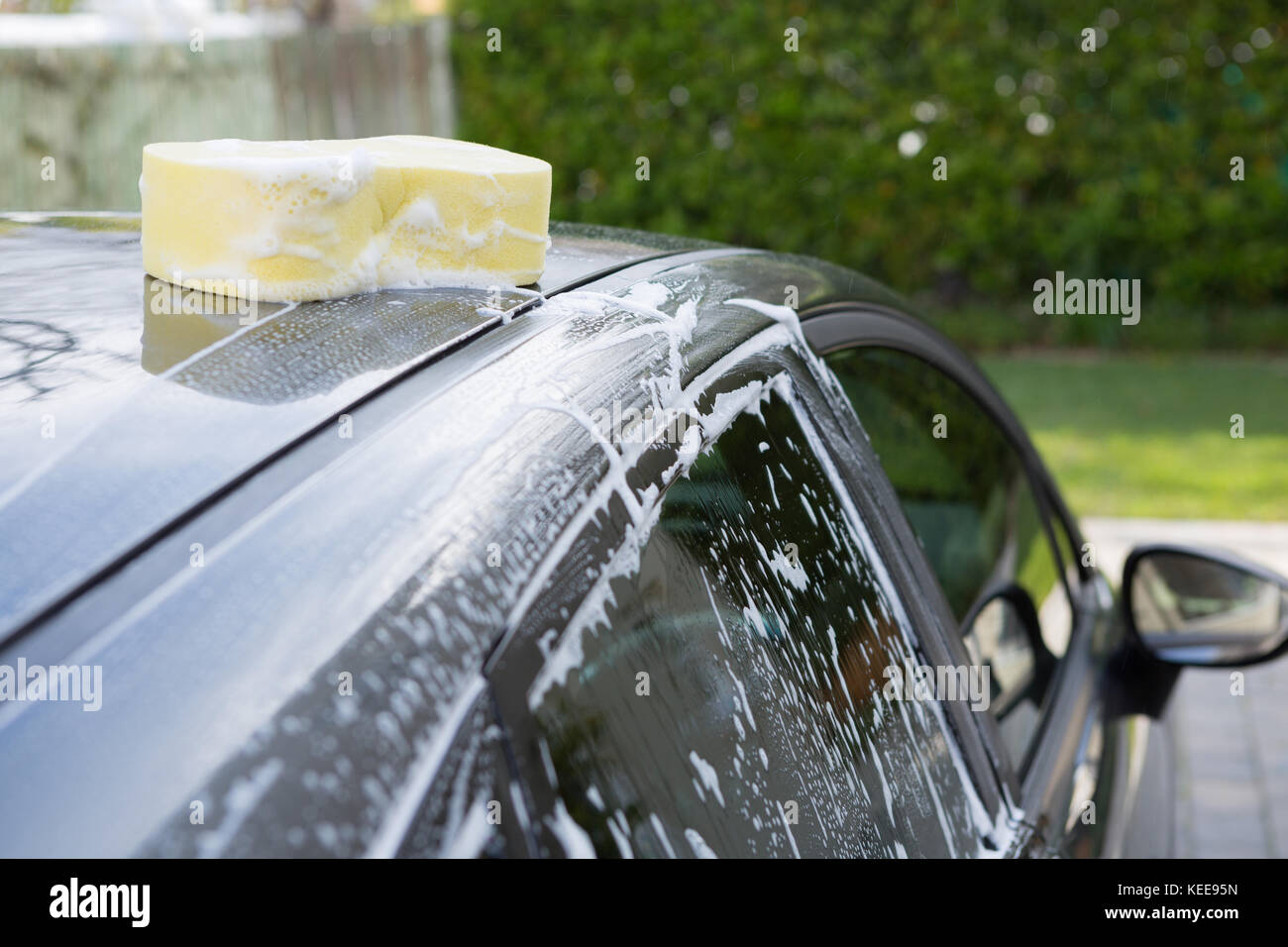 Wet sponge hi-res stock photography and images - Alamy