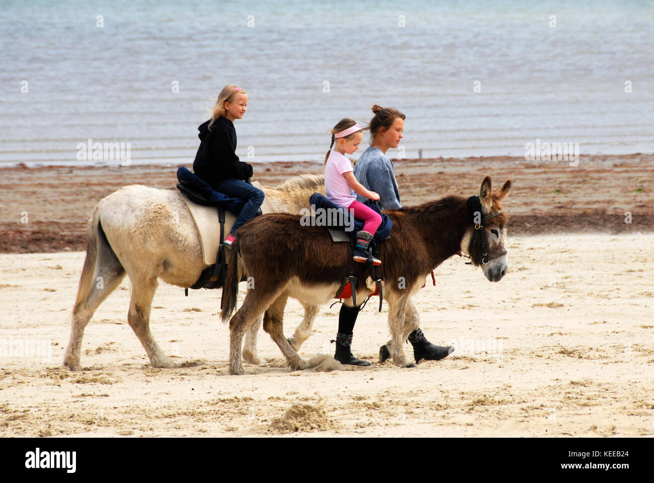 Donkey rides at the seaside Stock Photo - Alamy