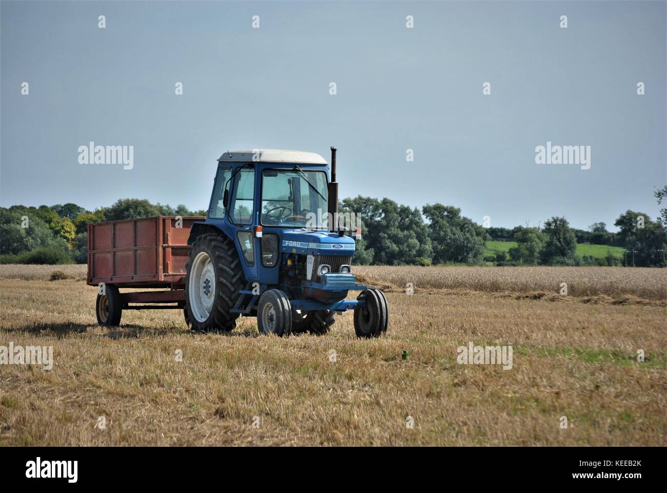 Small blue Ford tractor being used on English farm at harvest time ...