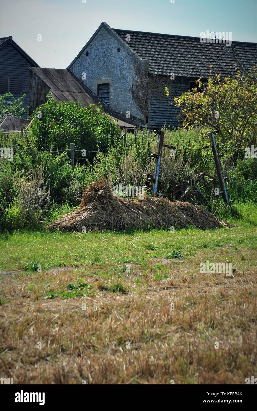 Corn stack hi-res stock photography and images - Alamy