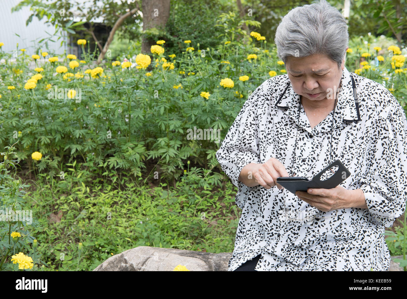 asian elder woman holding mobile phone while sitting on bench in garden ...