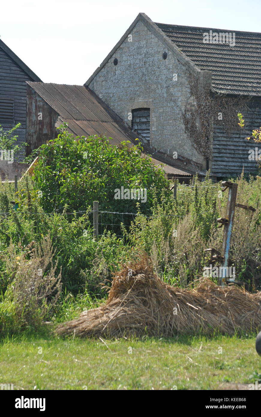 Corn stack hi-res stock photography and images - Alamy