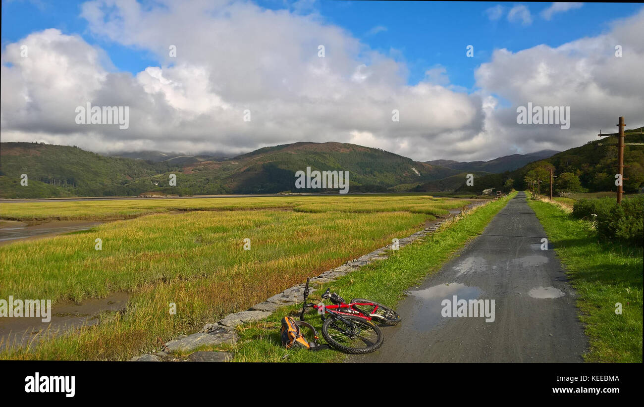 Mawddach Trail High Resolution Stock Photography and Images - Alamy