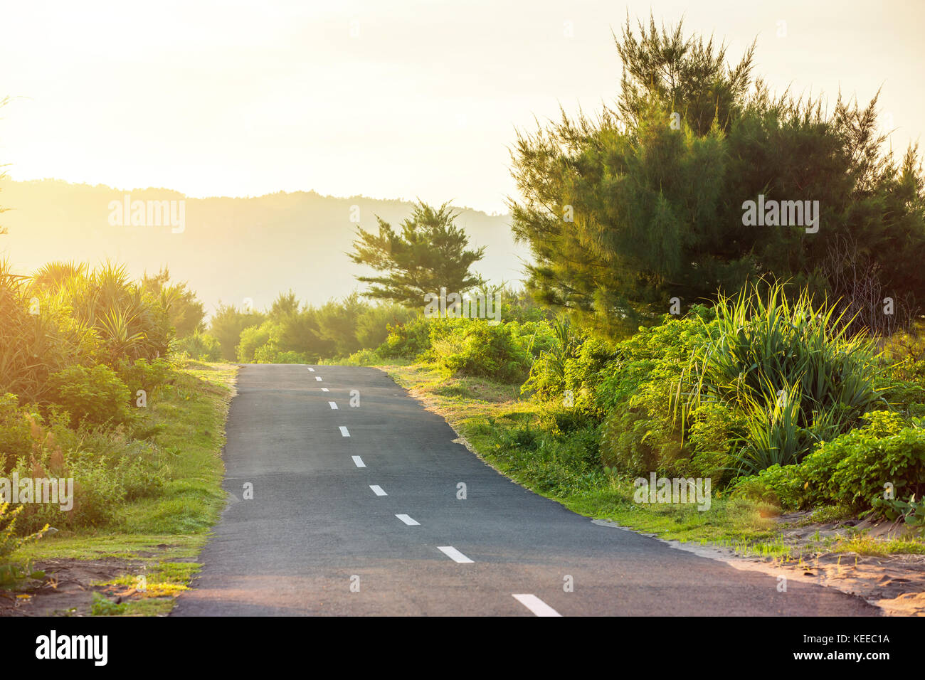 Empty beautiful rural sunny road Stock Photo - Alamy