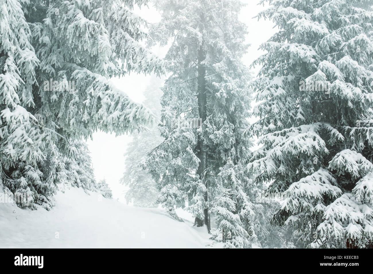 Beautiful snowstorm hi-res stock photography and images - Alamy