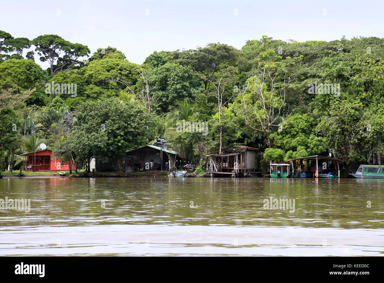 Tortuguero Canal, Limón province, Costa Rica, Caribbean Sea, Central ...