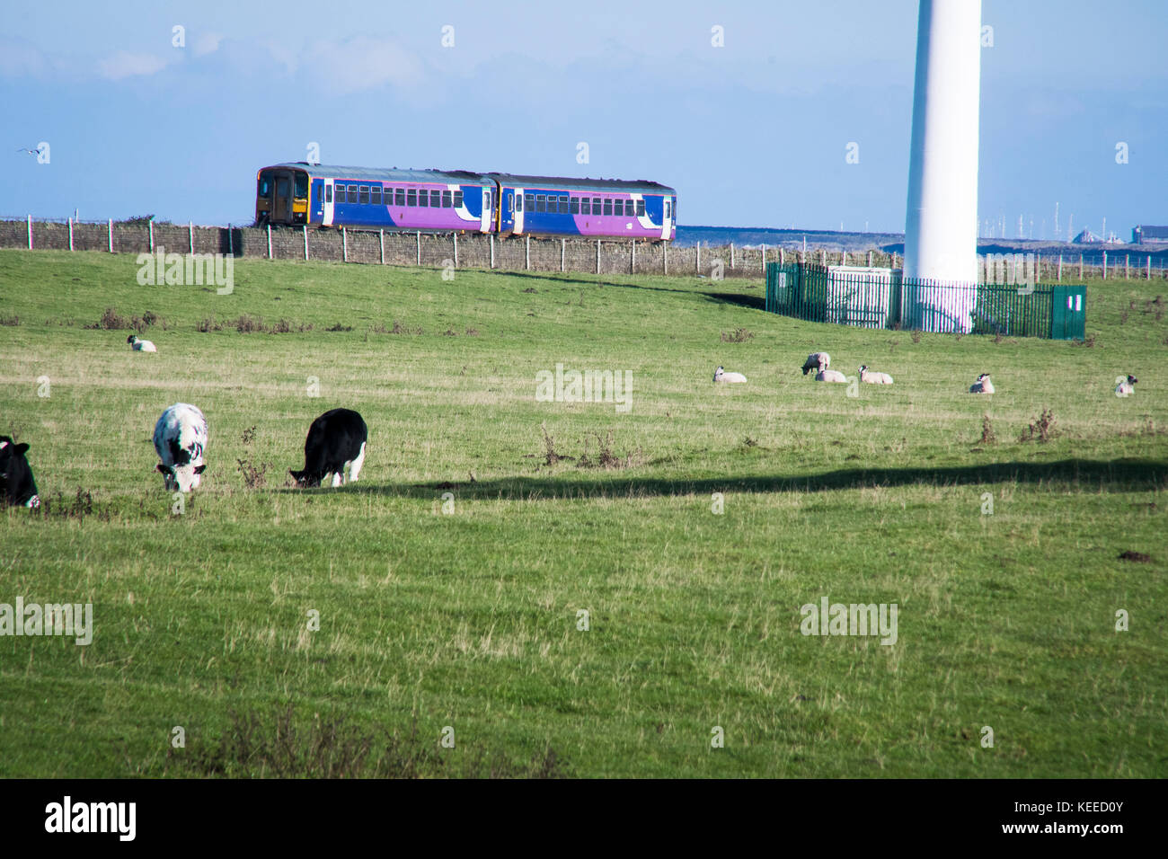 Stock Photo - Robin Rigg East and West Wind Farms are the first ...