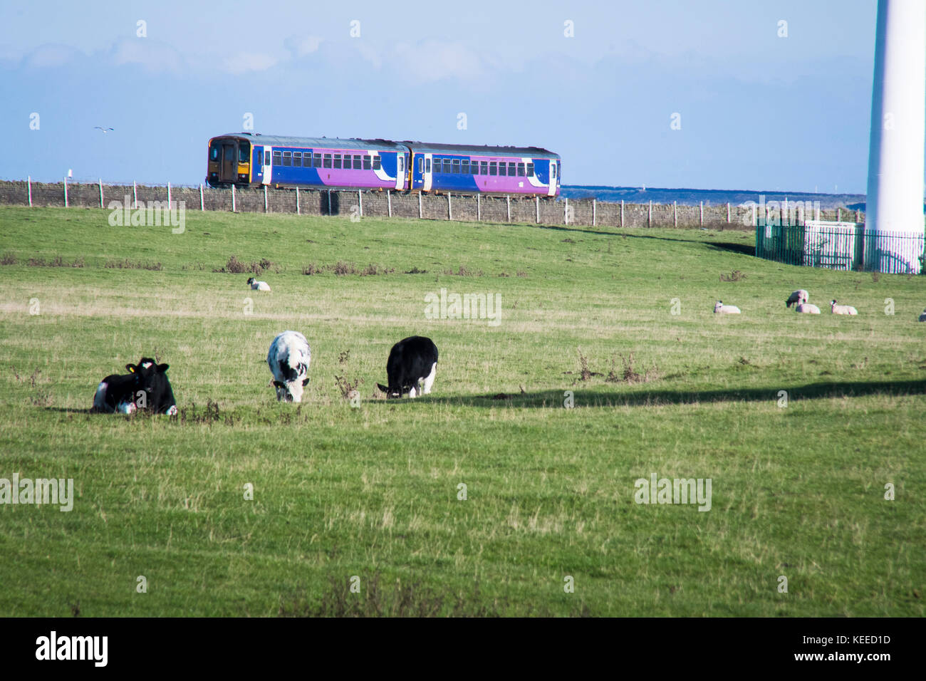 Stock Photo - Robin Rigg East and West Wind Farms are the first ...