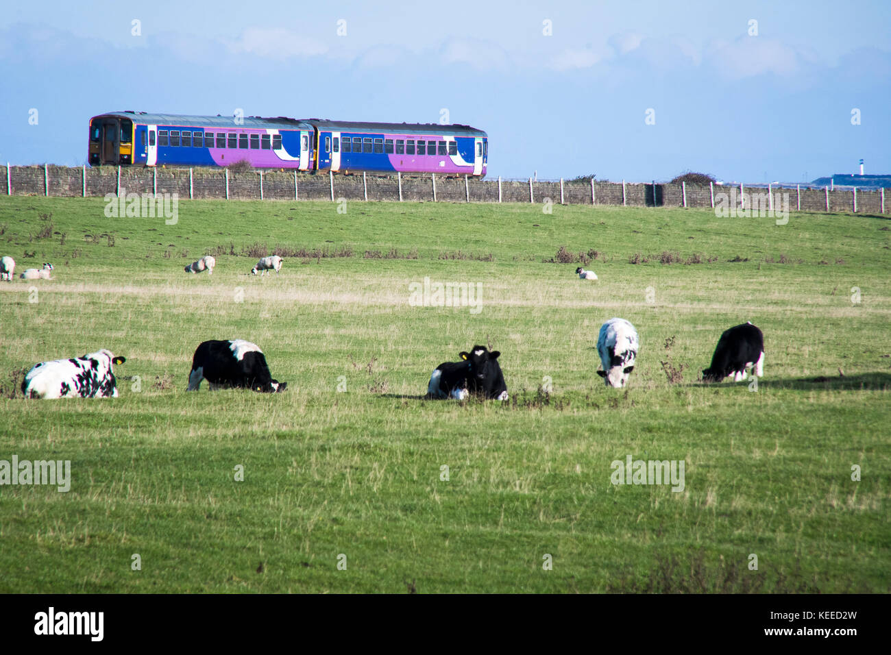 Stock Photo - Robin Rigg East and West Wind Farms are the first ...