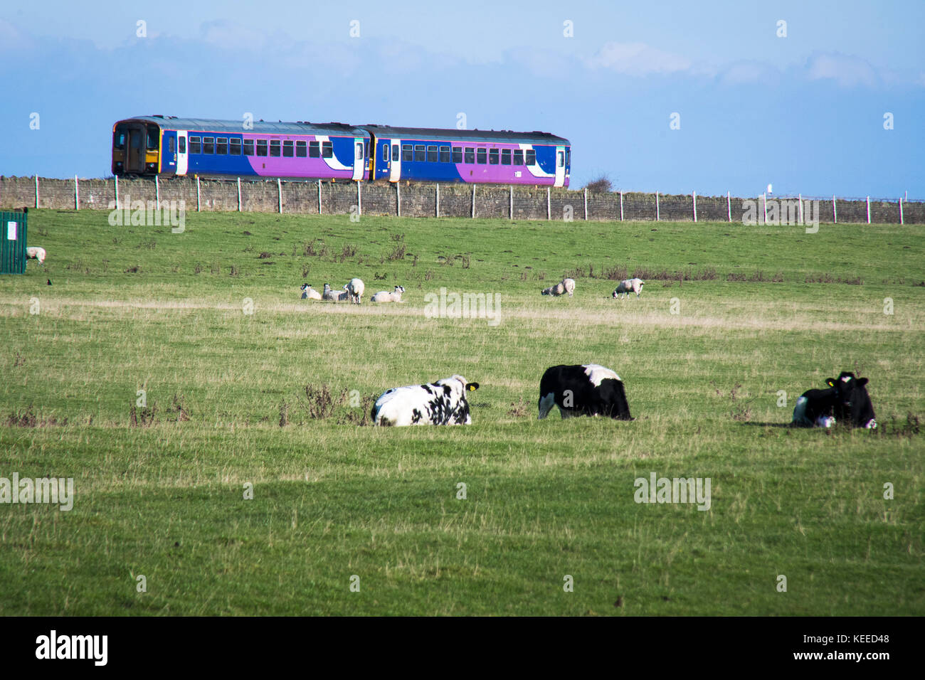 Stock Photo - Robin Rigg East and West Wind Farms are the first ...