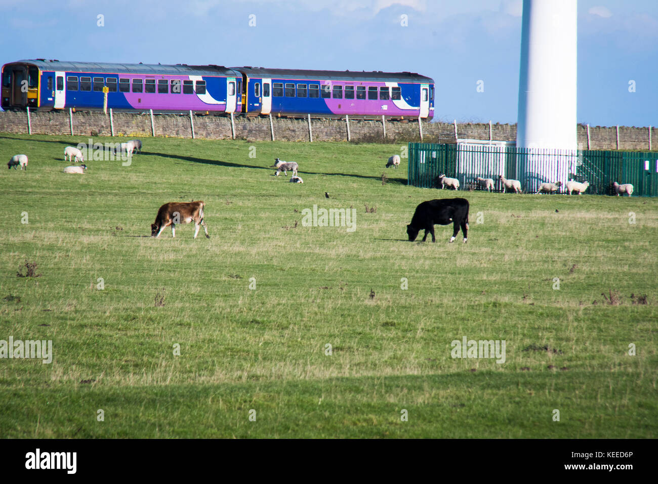 Stock Photo - Robin Rigg East and West Wind Farms are the first ...