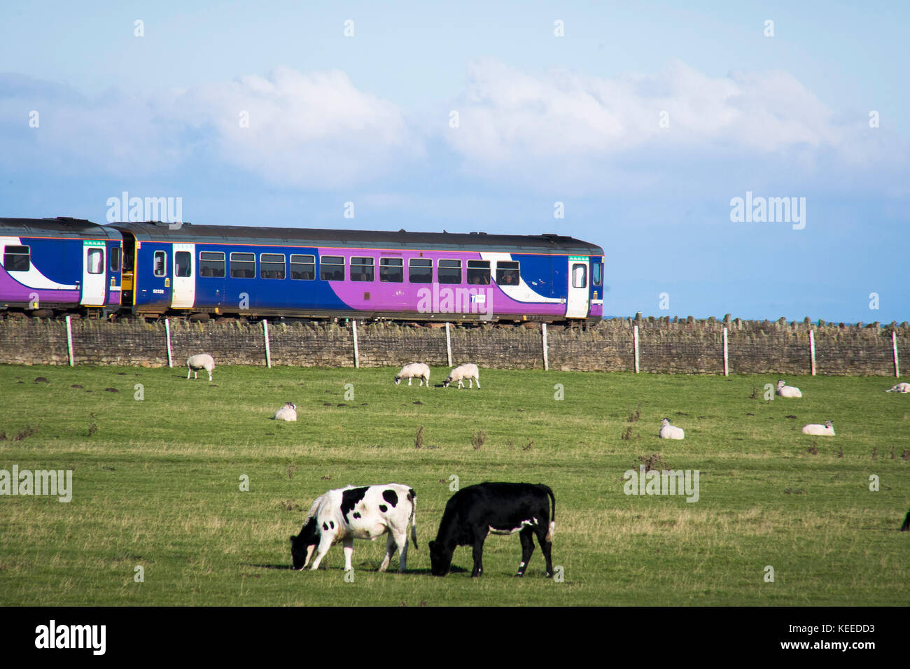 Wind farm robin rigg offshore hi-res stock photography and images - Alamy