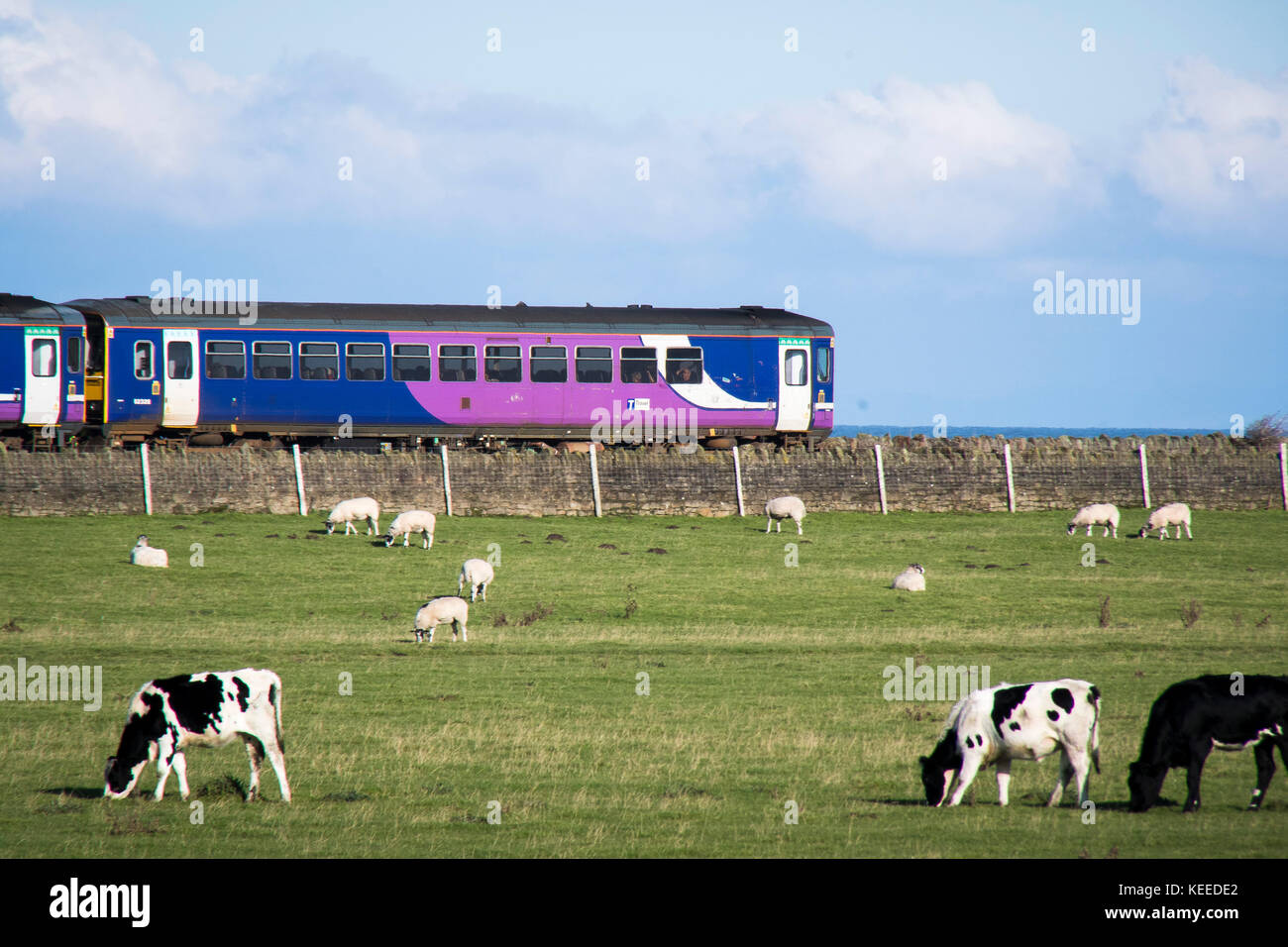 Stock Photo - Robin Rigg East and West Wind Farms are the first ...