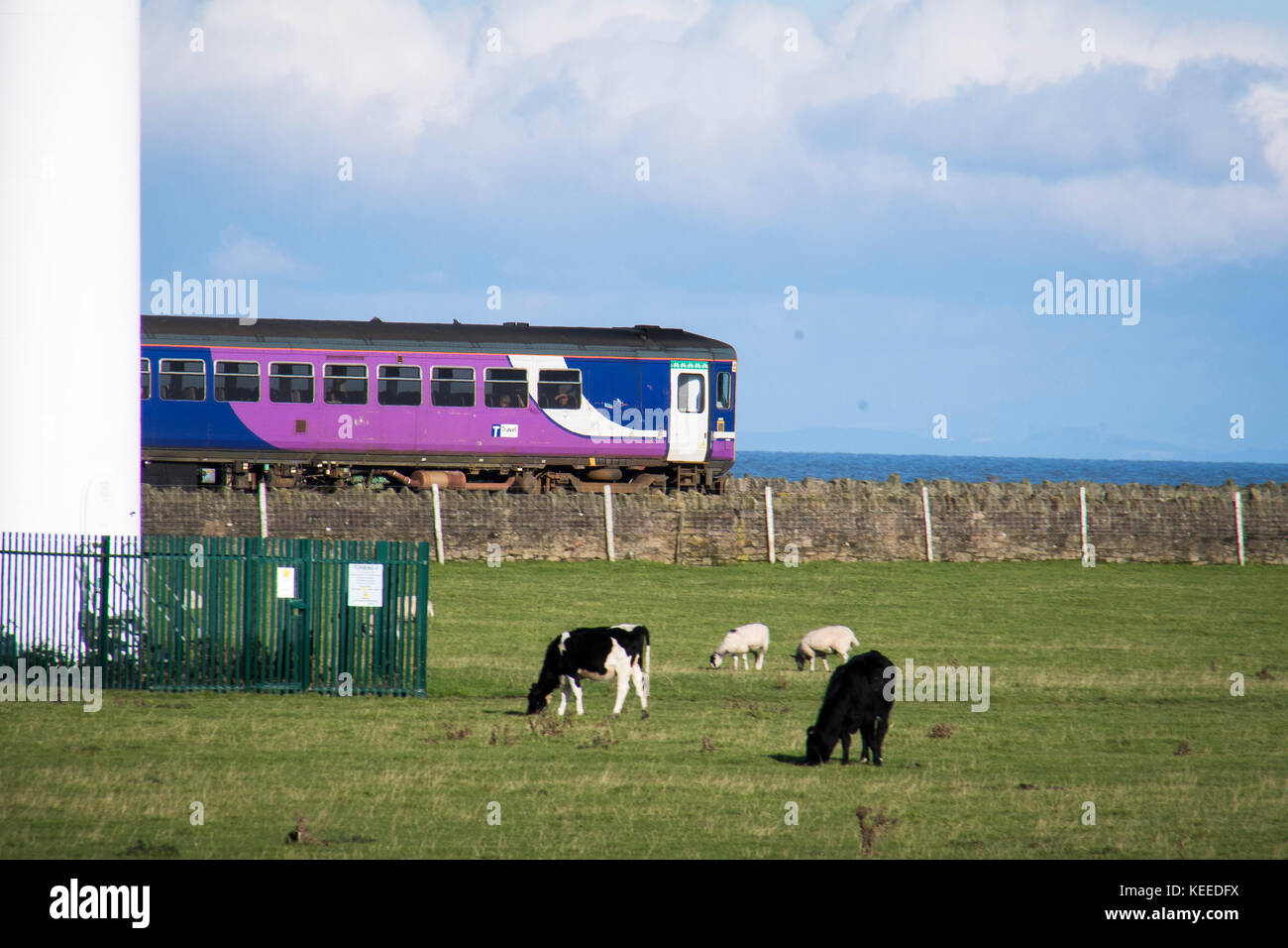 Stock Photo - Robin Rigg East and West Wind Farms are the first ...