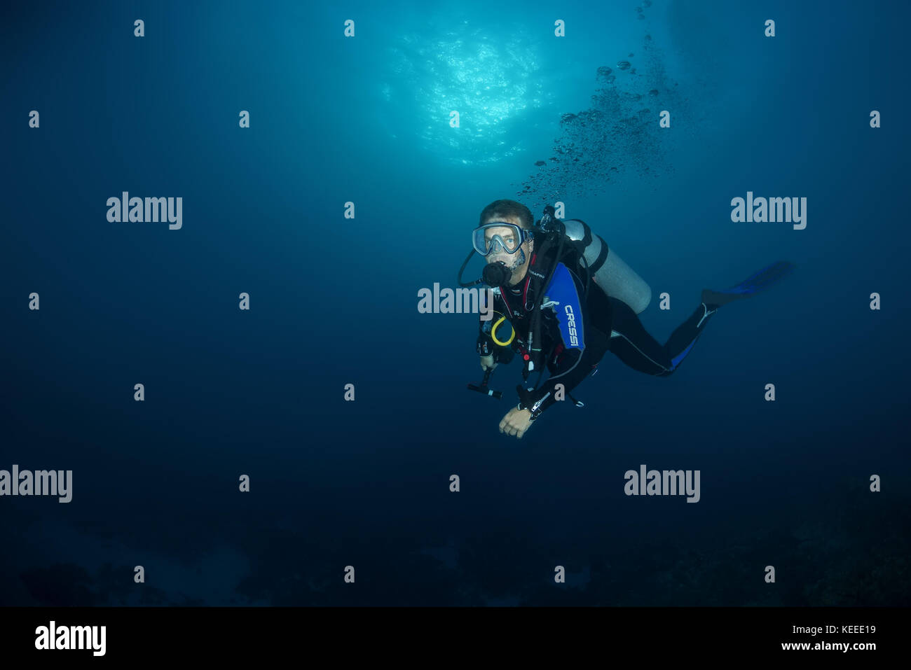 Male scuba diver swim near coral reef Stock Photo - Alamy