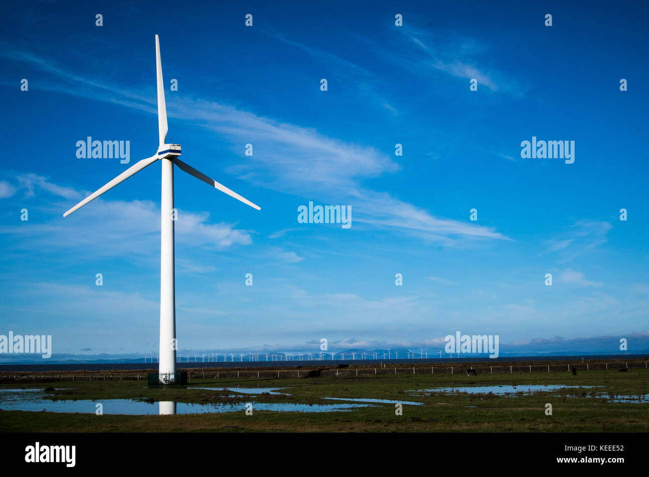 Stock Photo - Robin Rigg East and West Wind Farms are the first ...