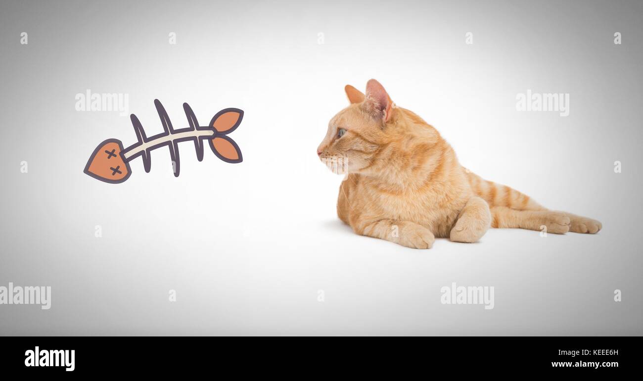 Digital composite of Cat watching fish bone graphi Stock Photo - Alamy