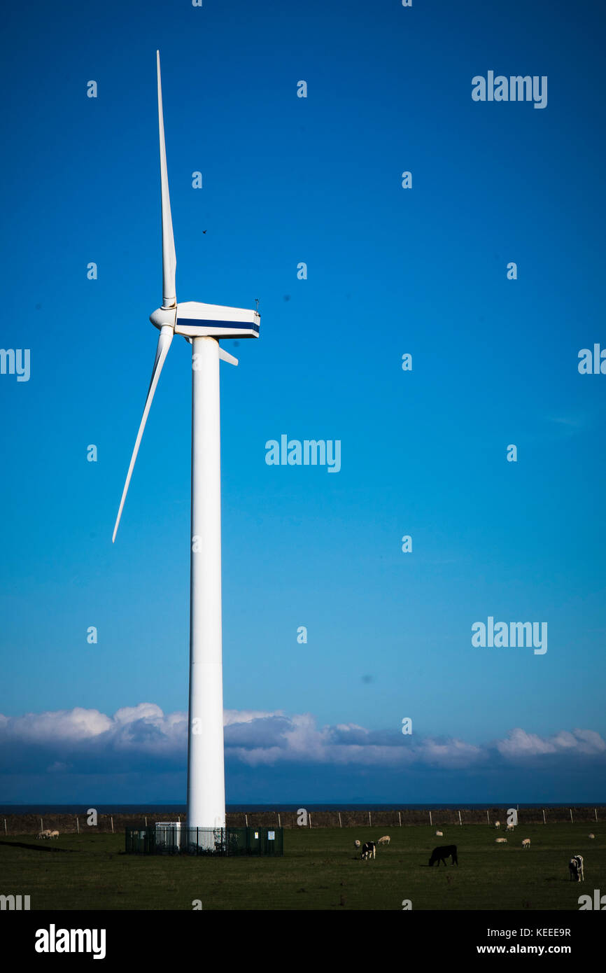 Stock Photo - Robin Rigg East and West Wind Farms are the first ...