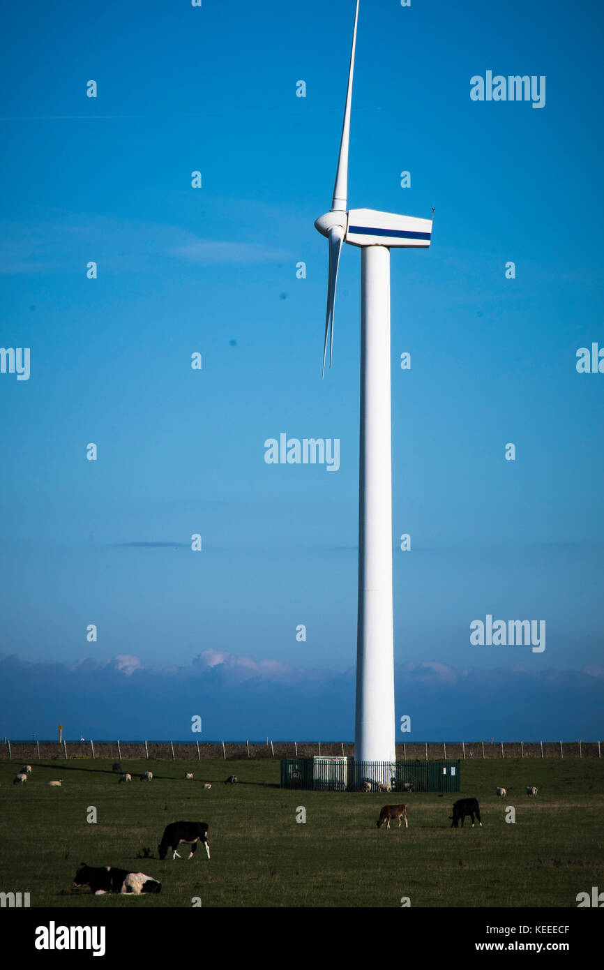 Stock Photo - Robin Rigg East and West Wind Farms are the first ...