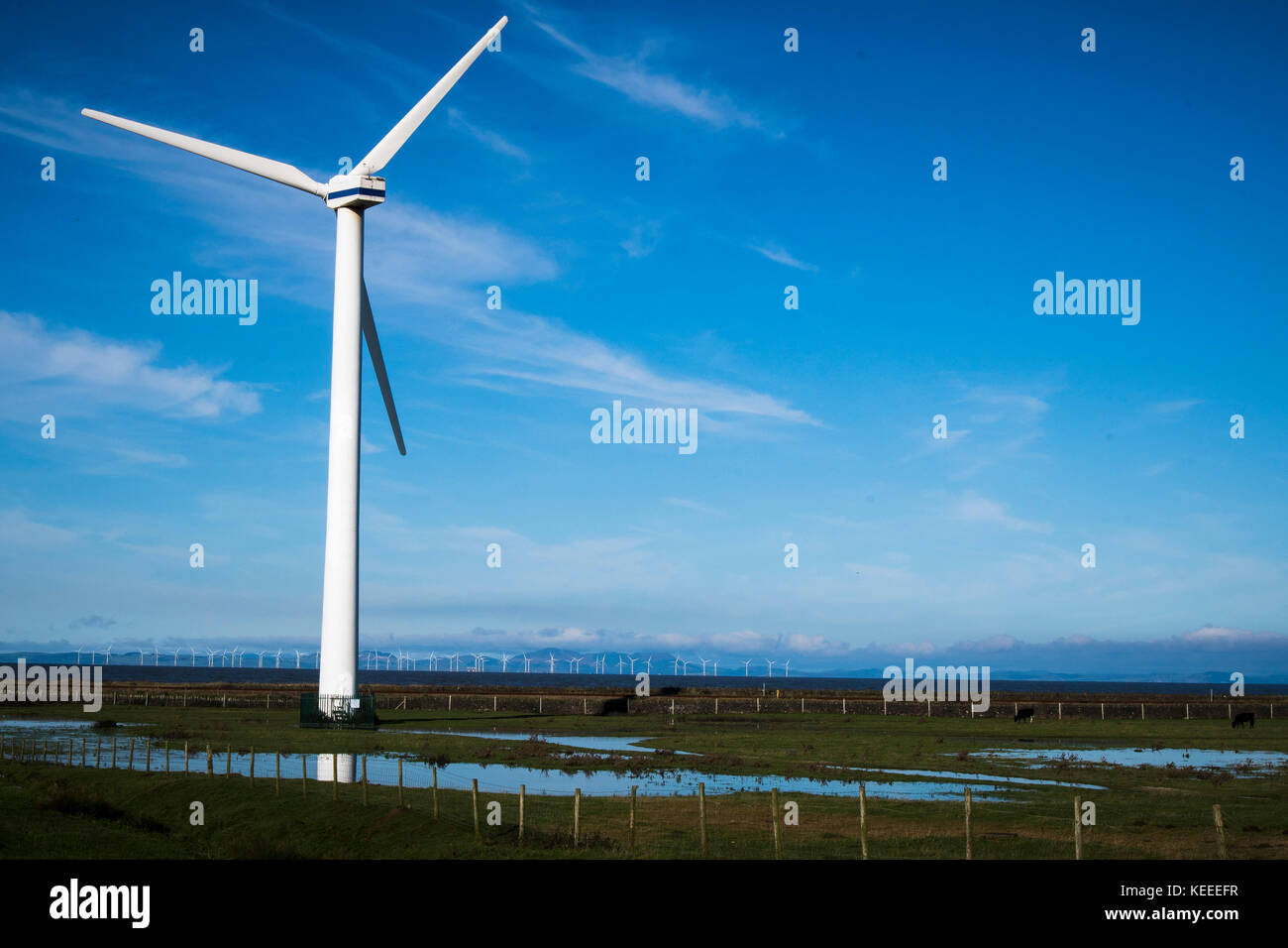Stock Photo - Robin Rigg East and West Wind Farms are the first ...