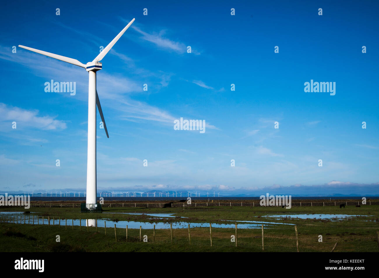 Stock Photo - Robin Rigg East and West Wind Farms are the first ...