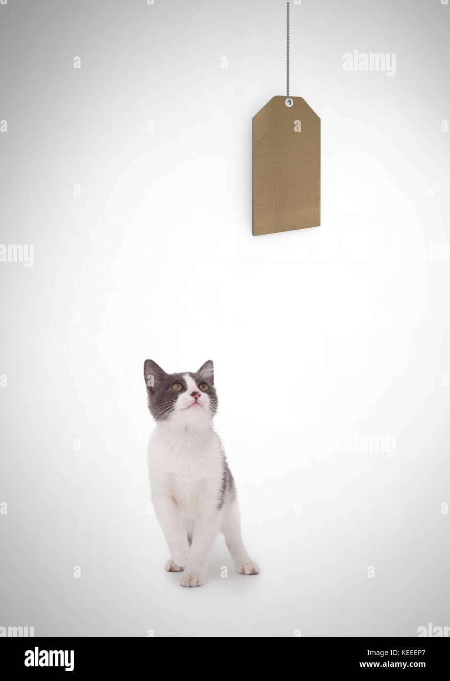 Hanging out with dna hi-res stock photography and images - Alamy