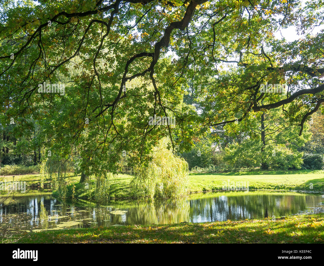 haaksbergen in the netherlands Stock Photo - Alamy