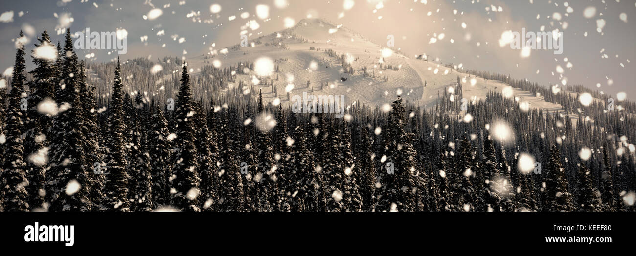 Beautiful snow capped mountain with pine trees Stock Photo - Alamy