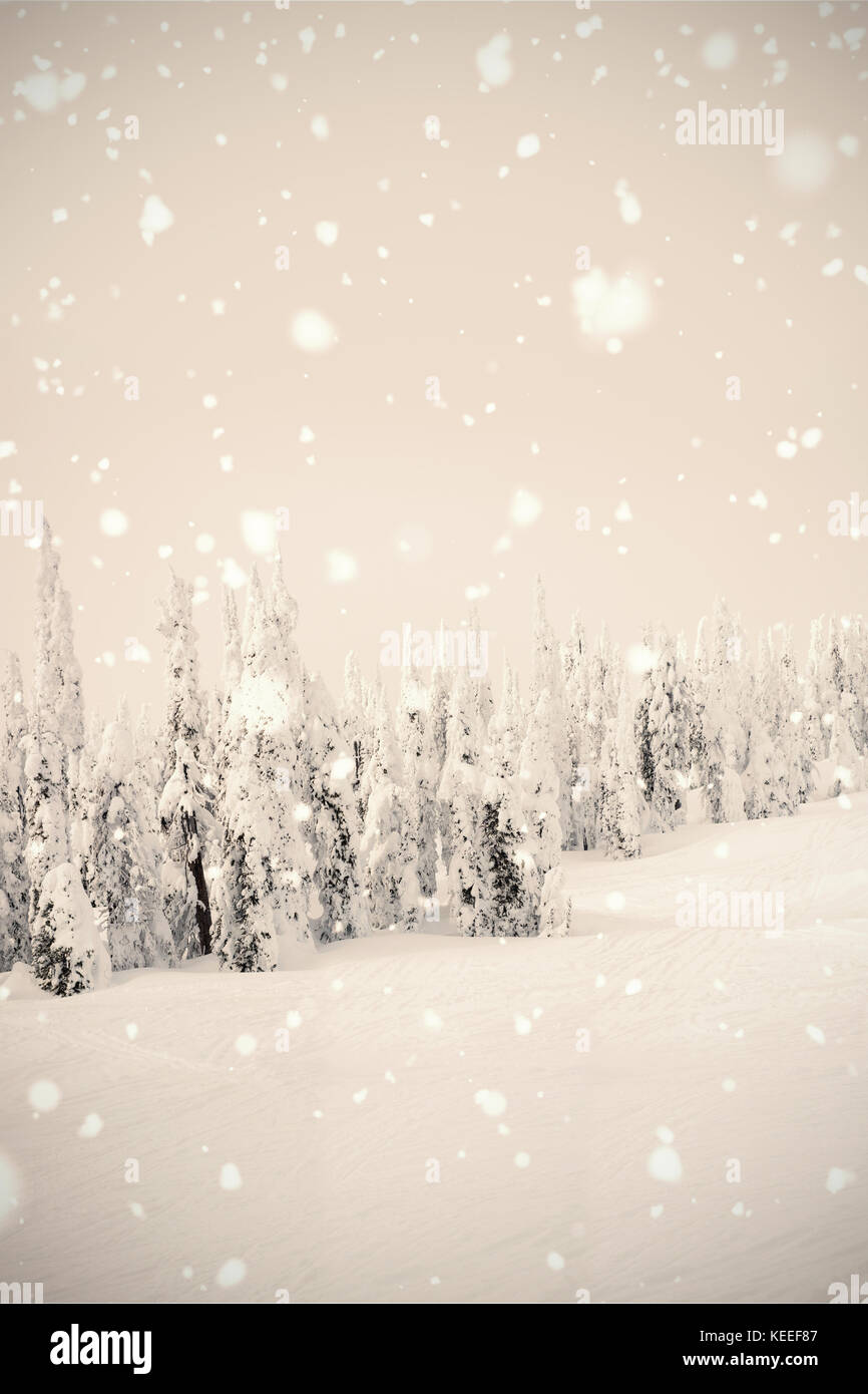 Mountain and tree coated of snow Stock Photo - Alamy