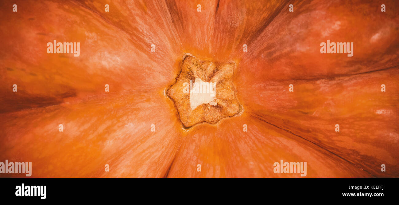 Overhead close up of pumpkin Stock Photo - Alamy