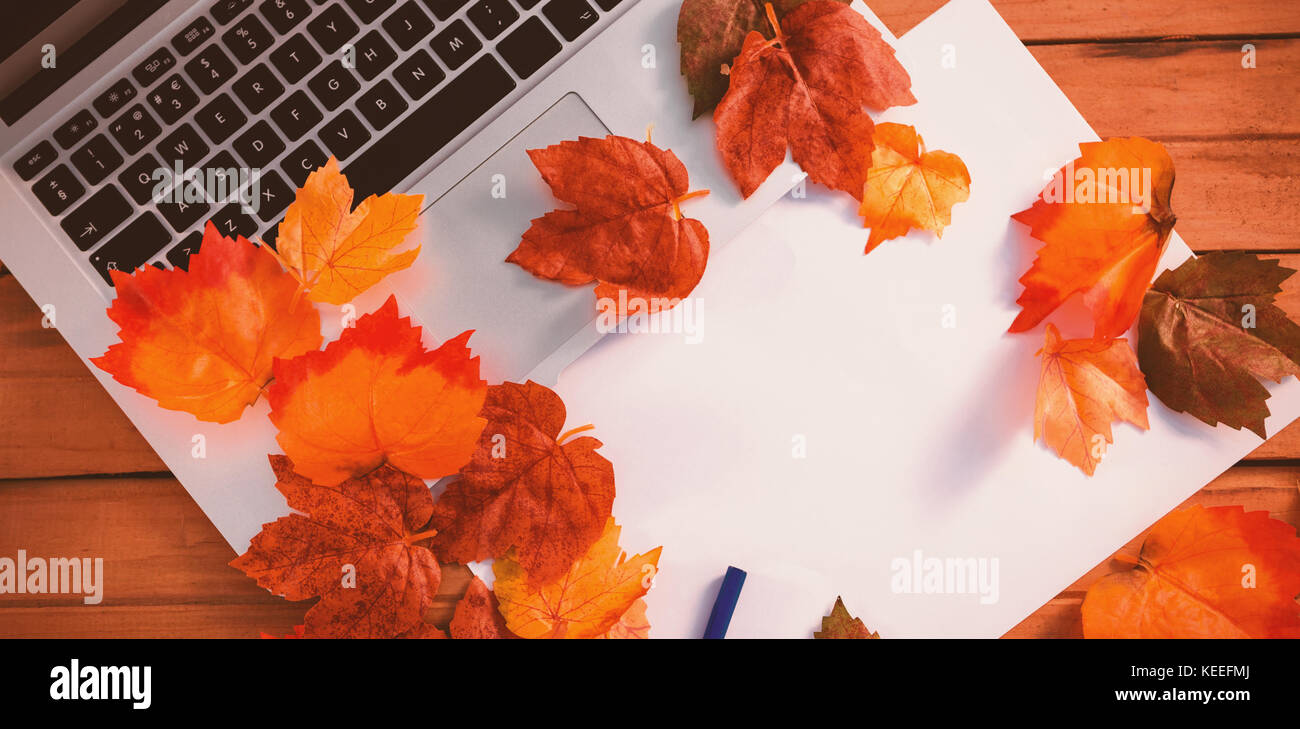 Laptop coated of leaf Stock Photo - Alamy