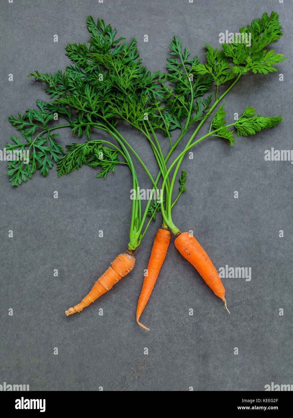 Fresh carrots bunch on dark concrete background. Raw fresh carrots with ...