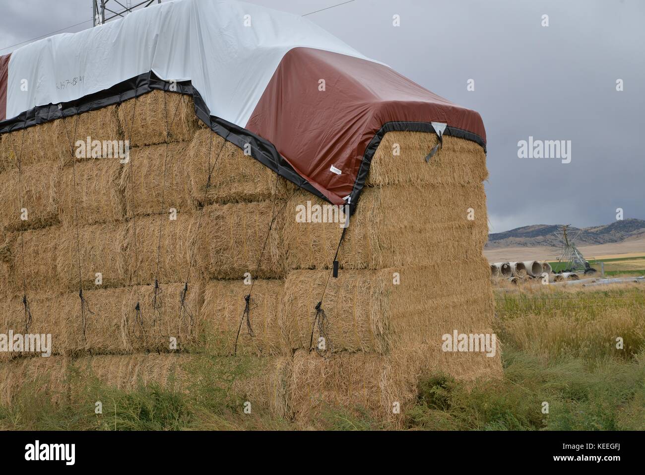 Square Bale Stack Stock Photos & Square Bale Stack Stock Images - Alamy
