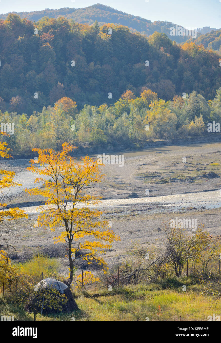 River tree relief hi-res stock photography and images - Alamy