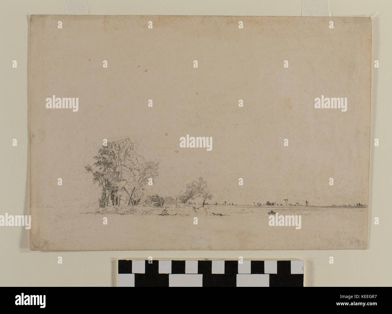 Graphite drawing of trees in Nebraska by artist Frederick Piercy ...