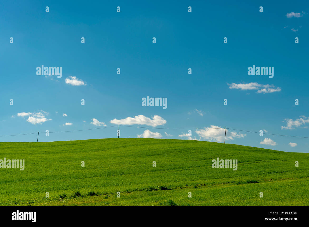 Italy Tuscany Orciano Pisano Province of Pisa Stock Photo - Alamy