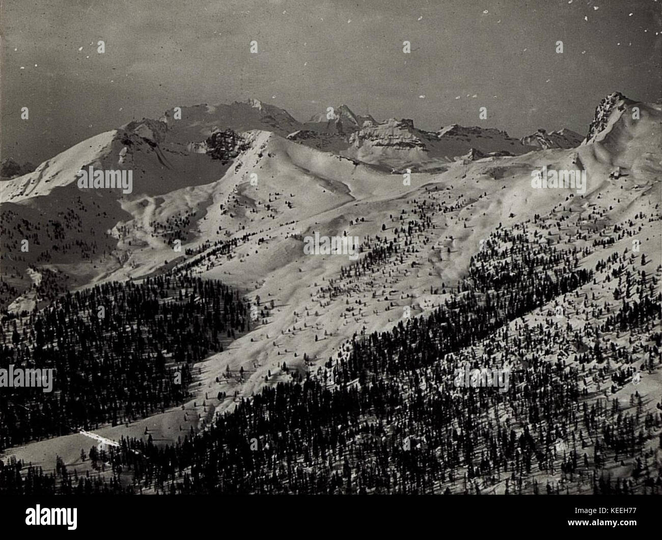 Col di Lana, Monte Sief, Siefsattel, im Hintergrund Marmolata, im ...