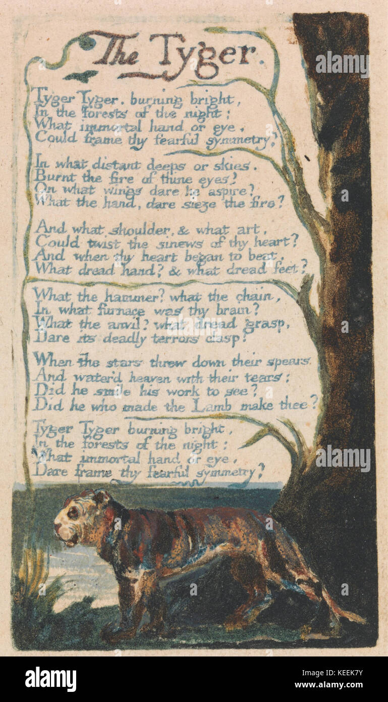 William Blake Songs of Innocence and of Experience, Plate 42, The Tyger (Bentley 42 Stock Photo ...