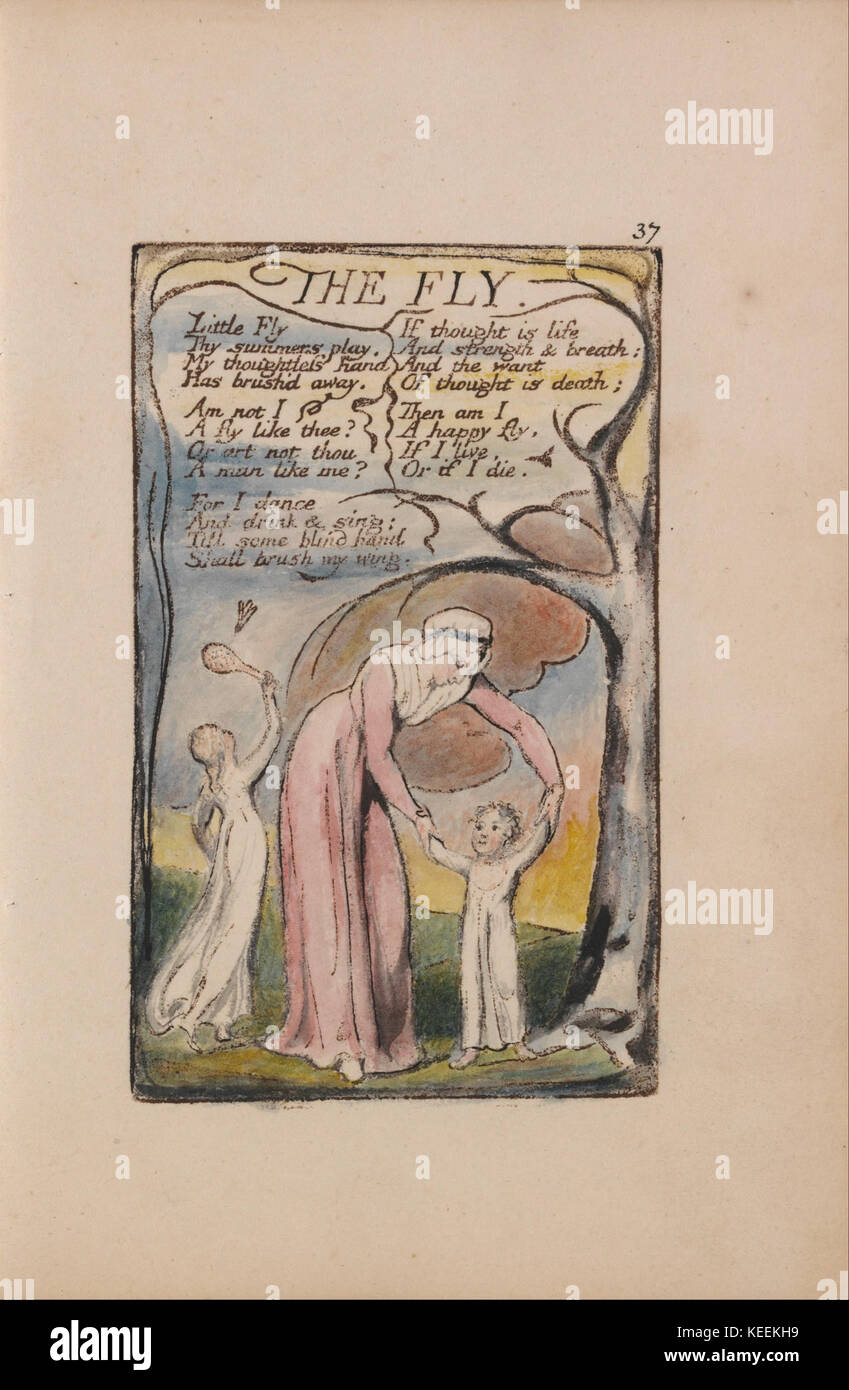 William Blake Songs of Innocence and of Experience, Plate 37, The Fly ...