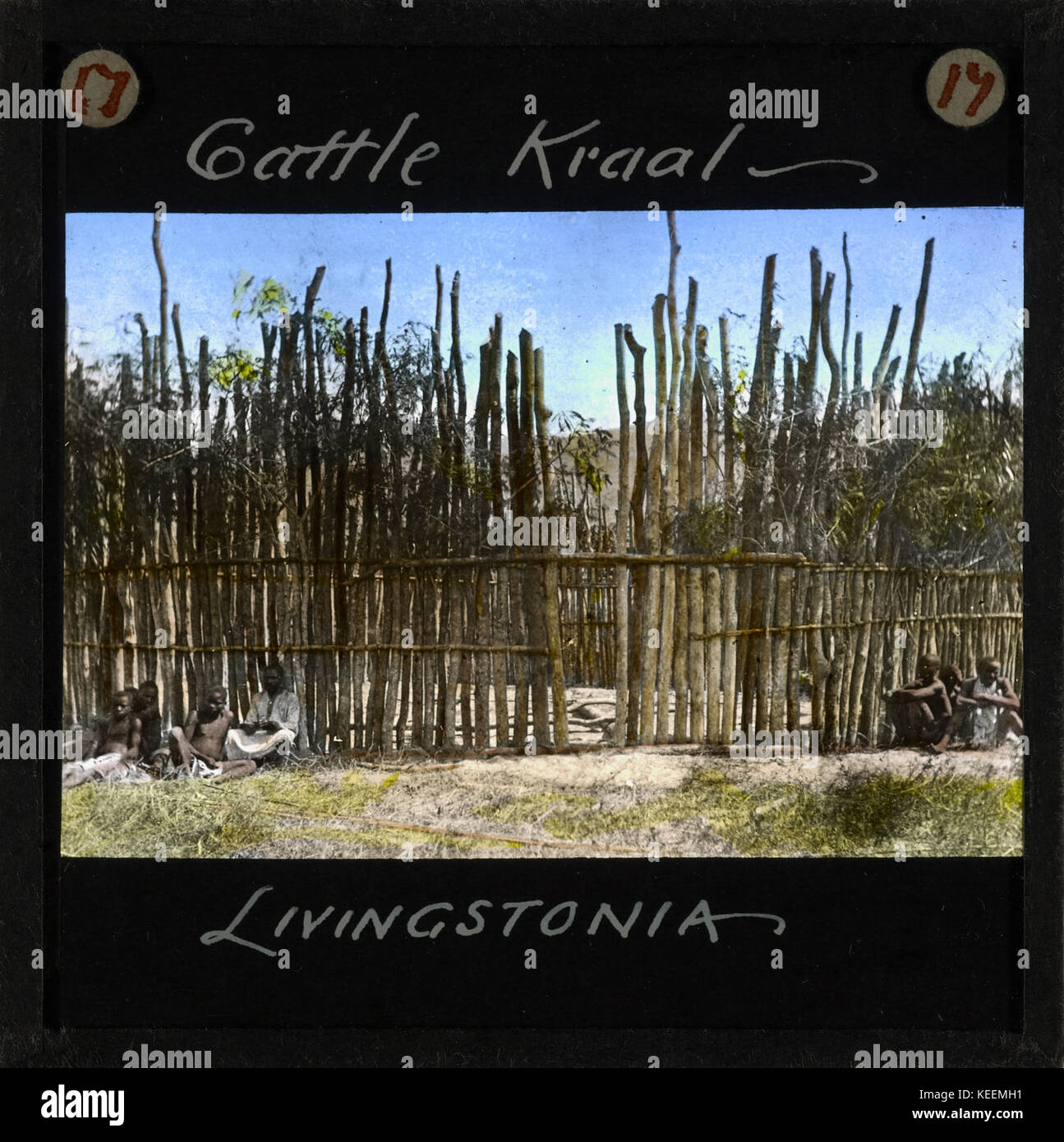 Cattle kraal hi-res stock photography and images - Alamy